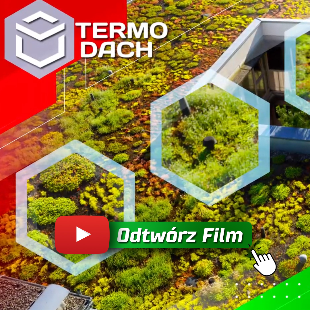 Video: Dachy zielone, ogród na dachu, budowa dachu zielonego Wrocław ...
